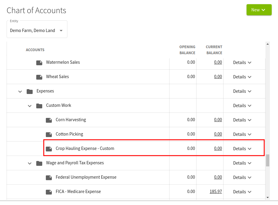 How do I manage my Chart of Accounts?